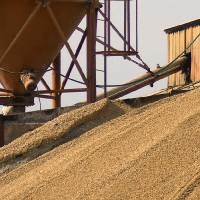 FT4 Powder Rheometer | Powder Flow | Powder Flow Tester